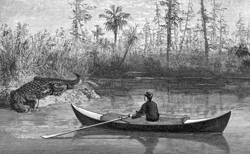 Petite histoire du canoë français - quand le canoë marchait à l'aviron ...