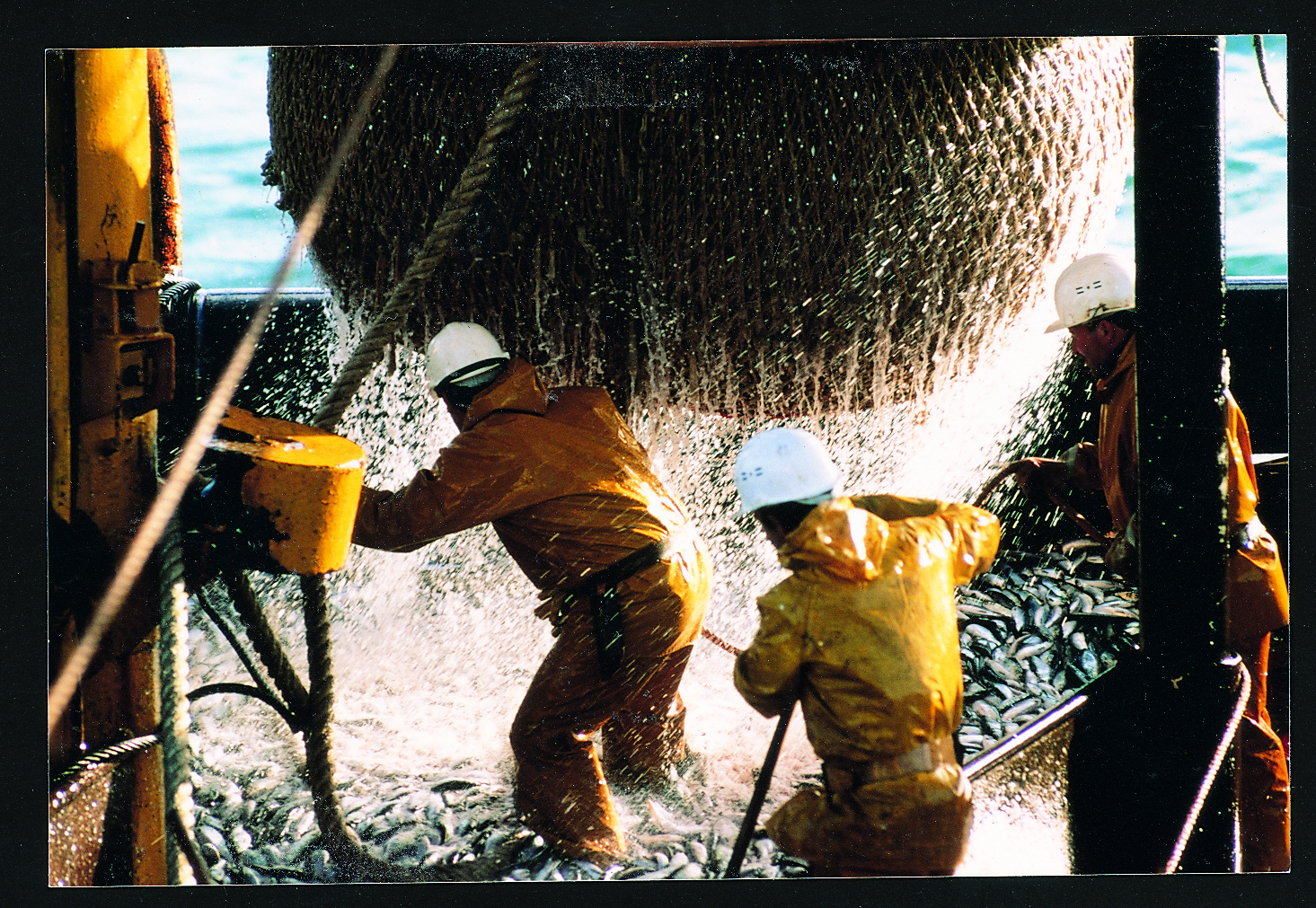 Pêche - le chalut - Chasse Marée