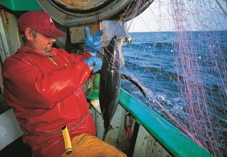 Pêche - le filet - Chasse Marée